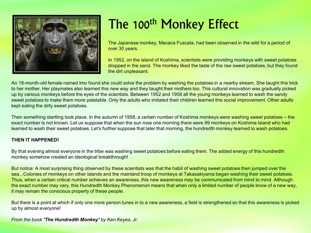 The 100th Monkey Effect – Acts of Goodness